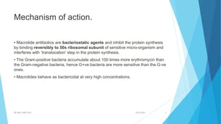MACROLIDES ANTIBIOTICS. | PPT