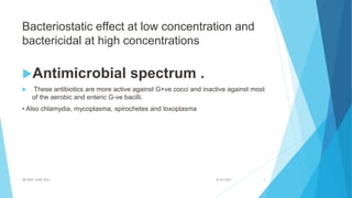 MACROLIDES ANTIBIOTICS. | PPT