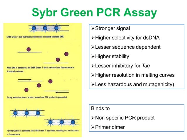 Lecture 2 , mbbs students. pcr, rt pcr, | PPT