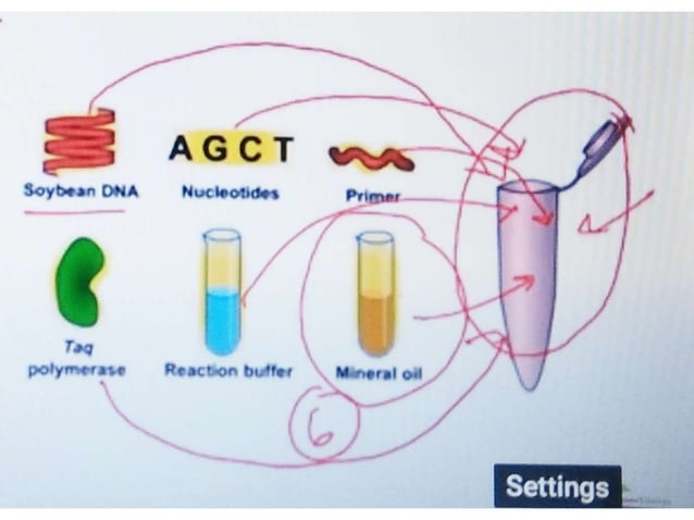 Lecture 2 , mbbs students. pcr, rt pcr, | PPT
