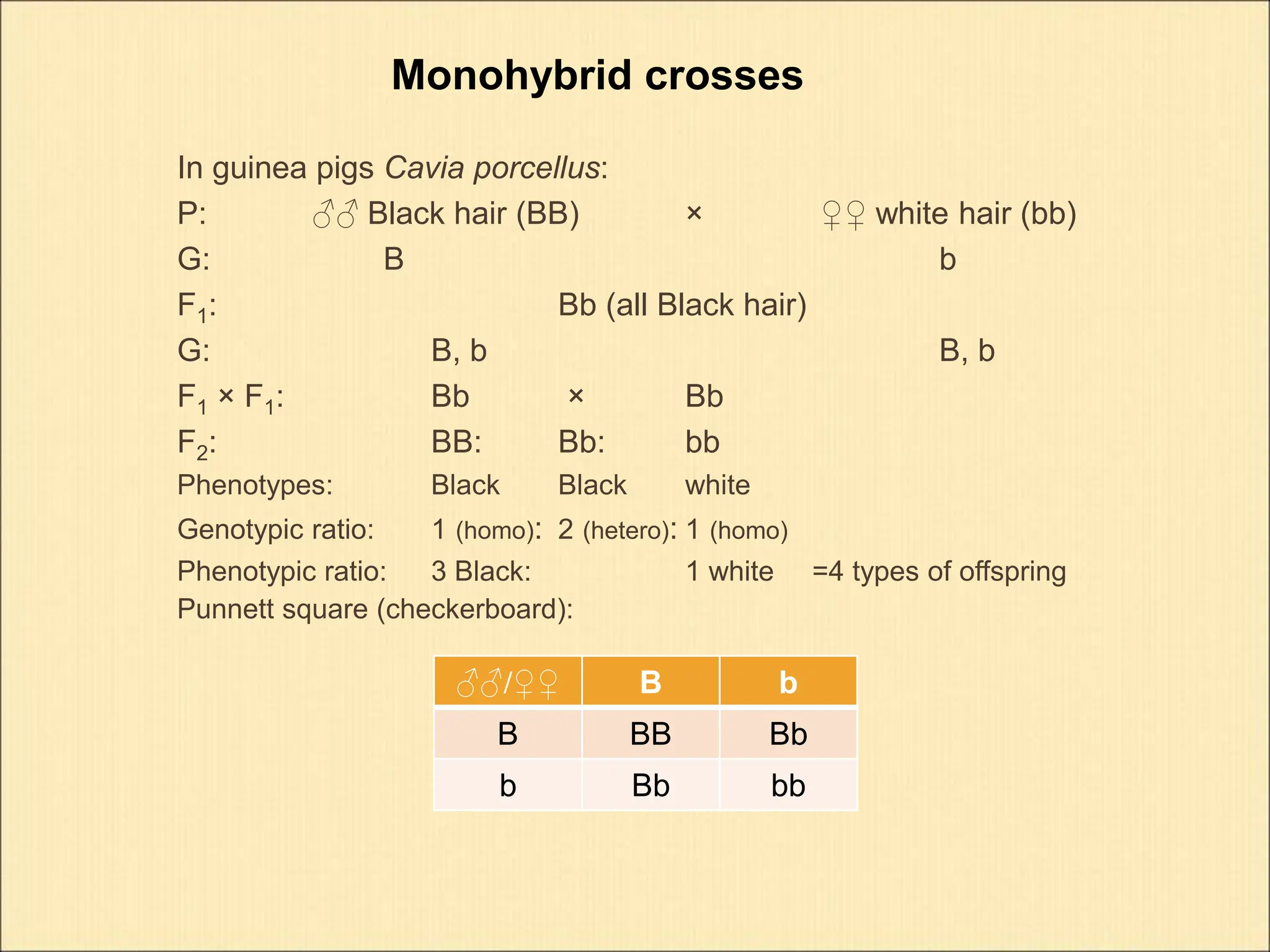 Genetics Lecture 2 Mendelian Crosses:Contrasting characters that Mendel ...