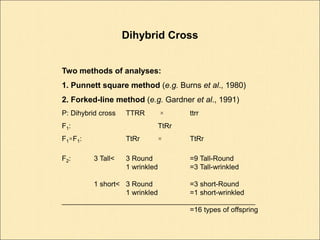 Genetics Lecture 2 Mendelian Crosses:Contrasting characters that Mendel ...