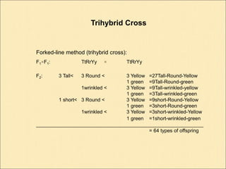 Genetics Lecture 2 Mendelian Crosses:Contrasting characters that Mendel ...