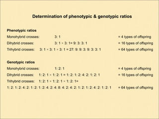 Genetics Lecture 2 Mendelian Crosses:Contrasting characters that Mendel ...