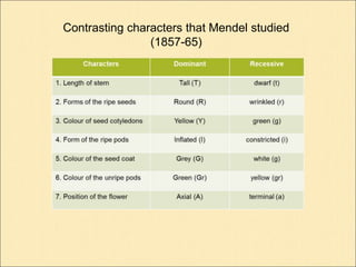 Genetics Lecture 2 Mendelian Crosses:Contrasting characters that Mendel ...