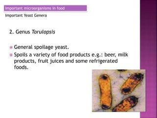 Lecture 2 (mic 204) | PPTX