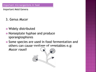Lecture 2 (mic 204) | PPTX