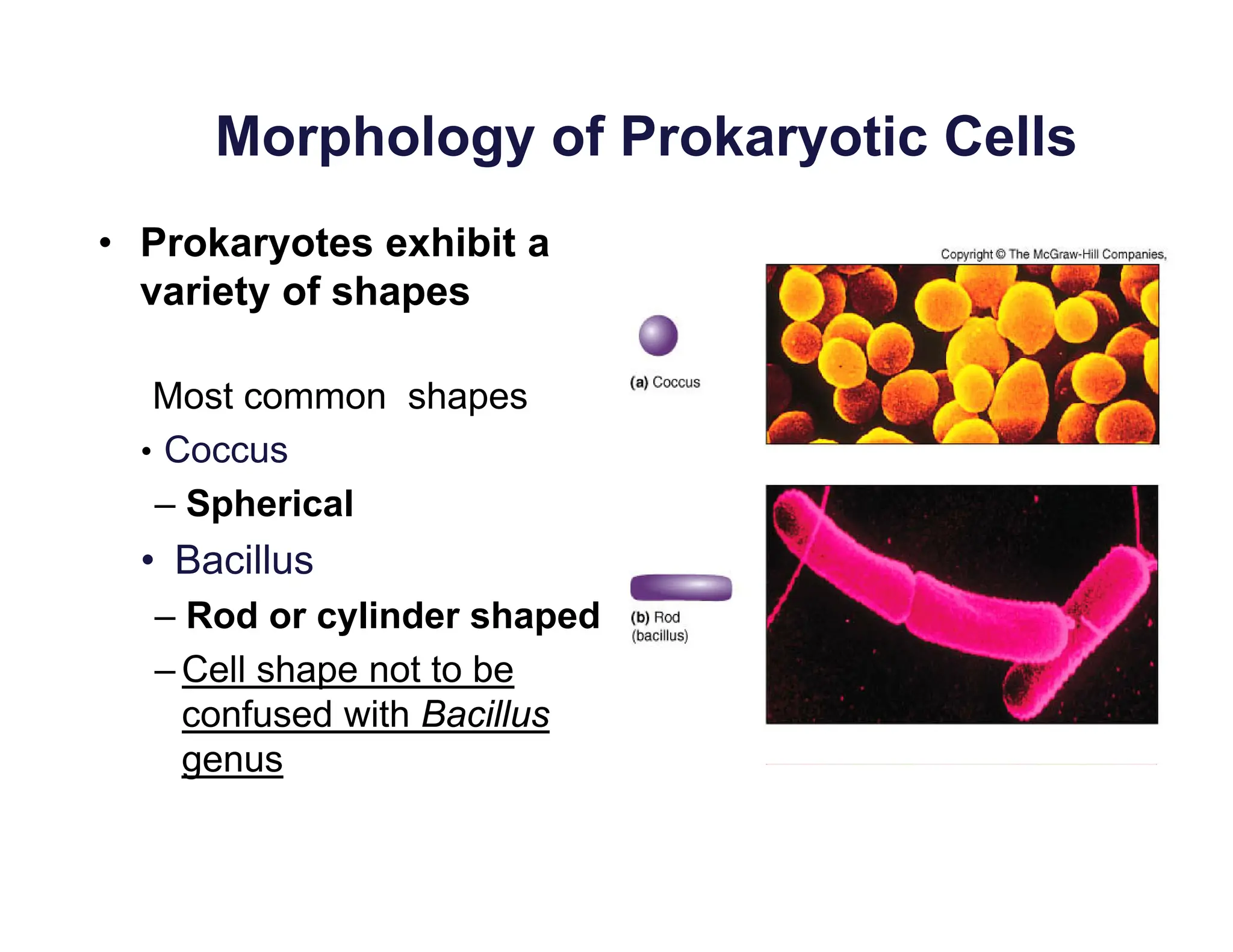 Lecture 2 _Microbial cell structure _UG medicine.pdf