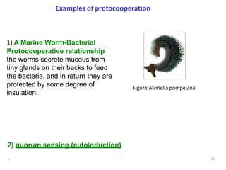 lecture_2microbial_interactionsppt.pptx
