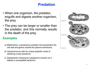 lecture_2microbial_interactionsppt.pptx