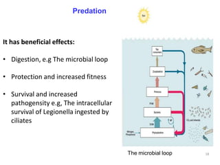 lecture_2microbial_interactionsppt.pptx