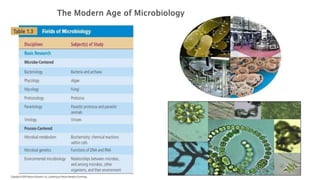 lecture 2 microbiology..pptx