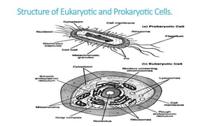 microbiology introduction powerpoint doc | PPTX