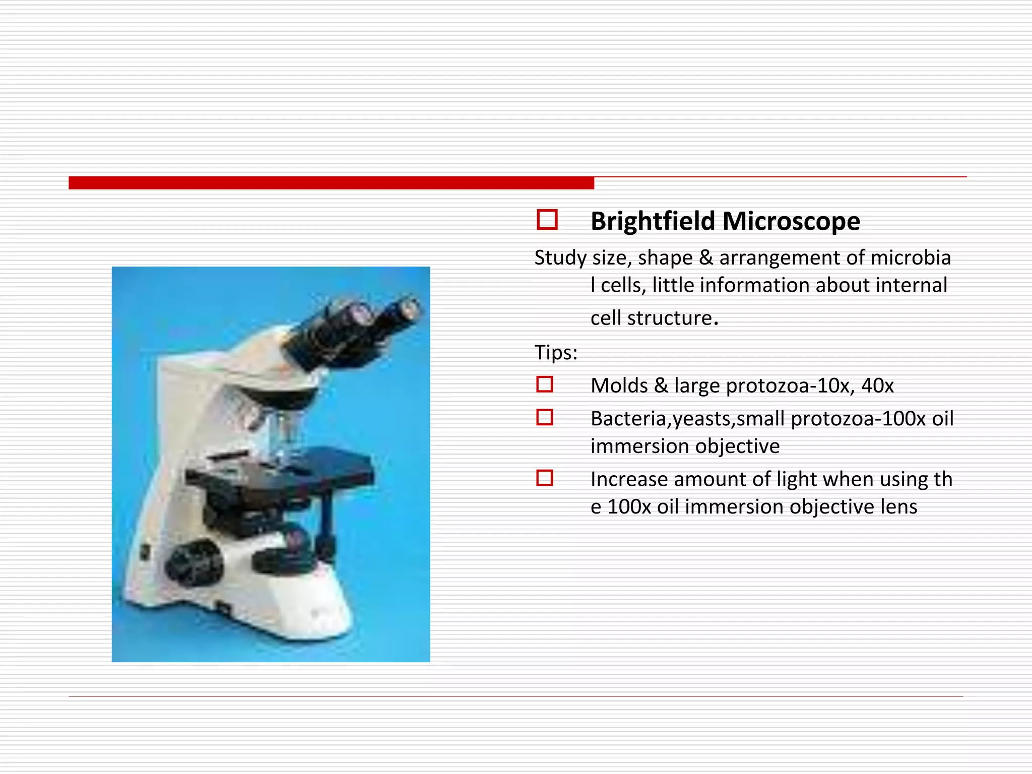 Lecture 2 MICROSCOPY.pptx