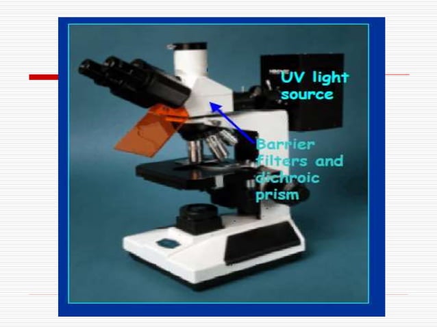 Lecture 2 MICROSCOPY.pptx