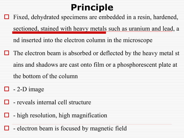 Lecture 2 MICROSCOPY.pptx