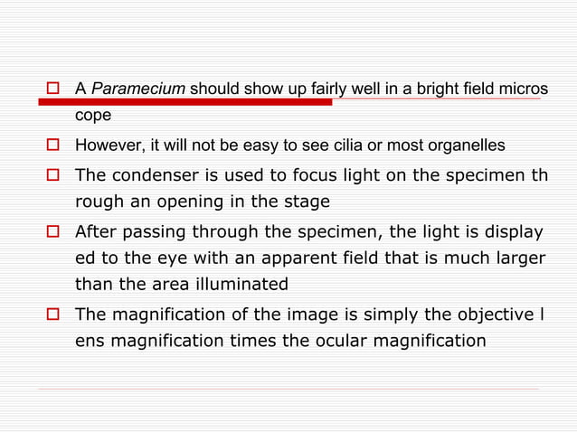 Lecture 2 MICROSCOPY.pptx