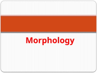 Morphophonemic: Morphemes & allomorphs, morphological processes.pptx.pptx
