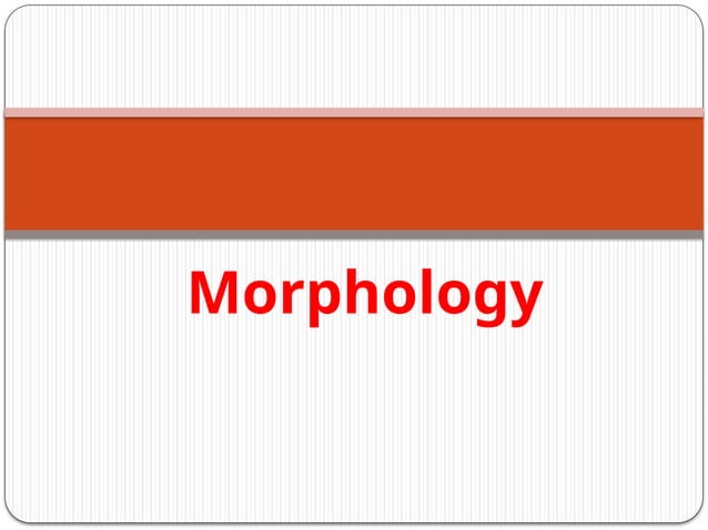 Morphophonemic: Morphemes & allomorphs, morphological processes.pptx.pptx