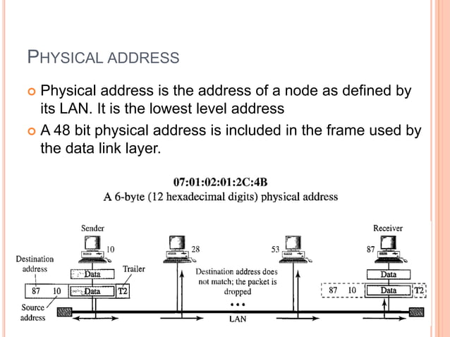 Network Models | PPT