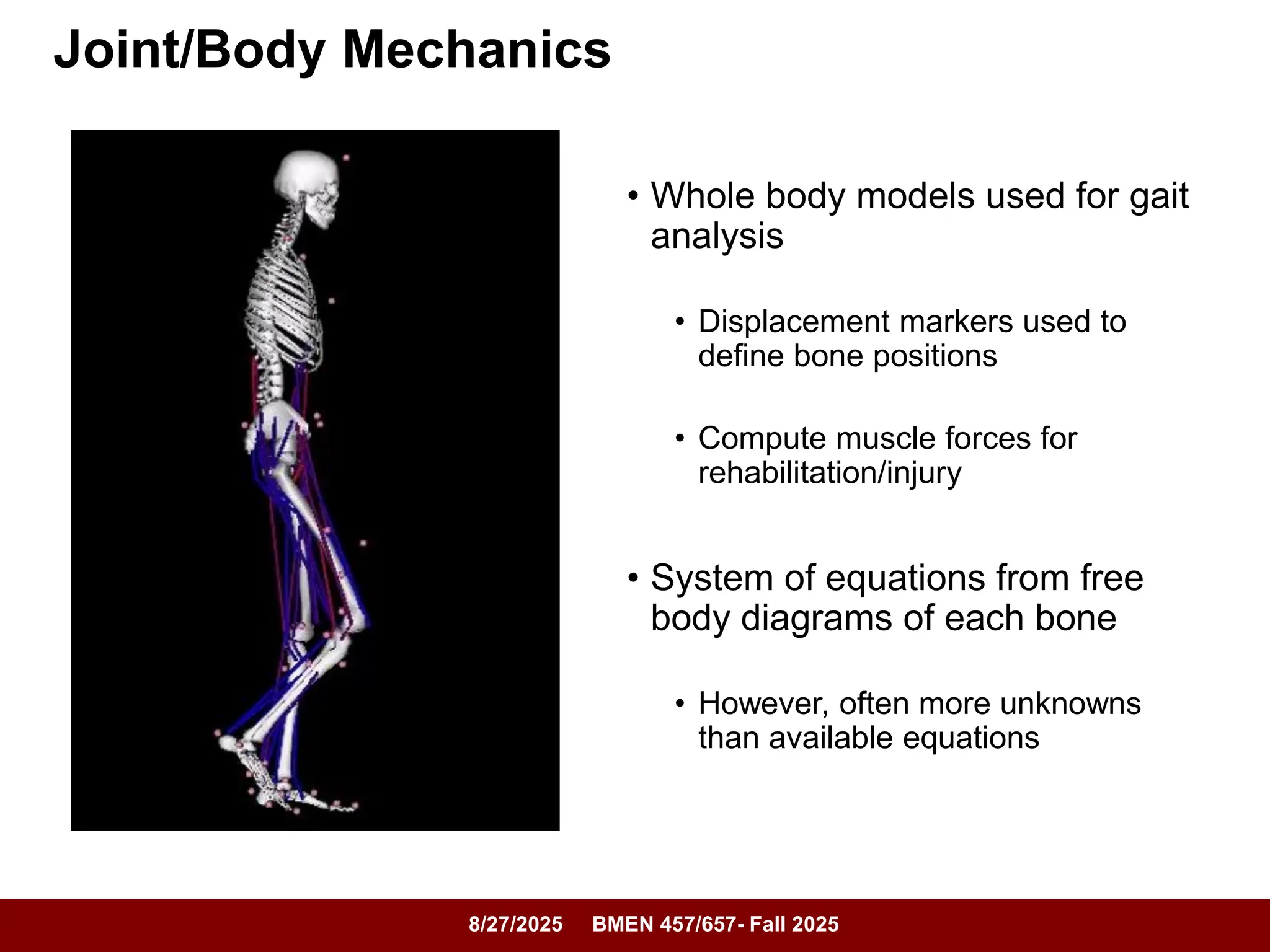 Orthopedic Mechanics, Forces and Moments | PDF