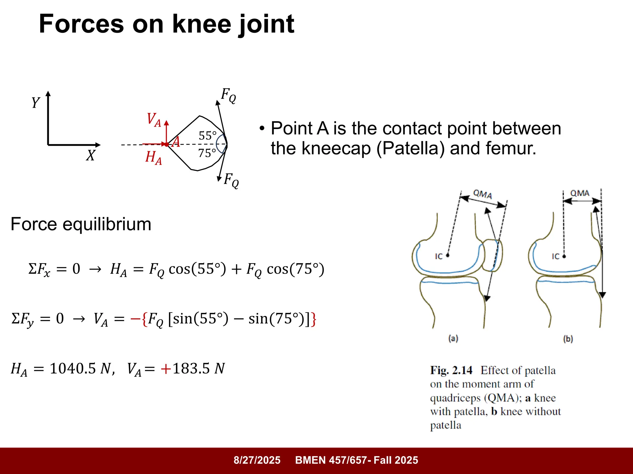 Orthopedic Mechanics, Forces and Moments | PDF