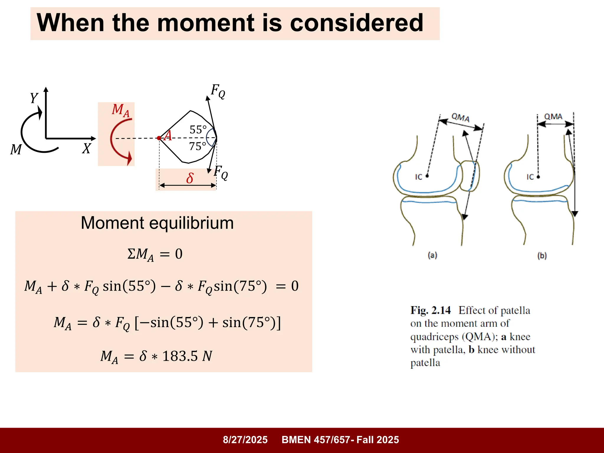 Orthopedic Mechanics, Forces and Moments | PDF