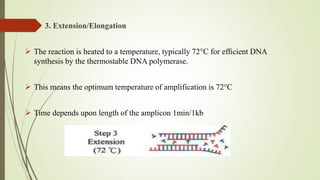 PCR.pptx