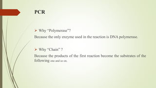 PCR.pptx