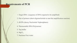 PCR.pptx