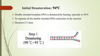 PCR.pptx