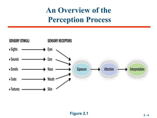 Consumer behavior | PPTX | Science