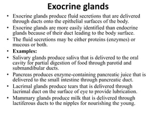 lecture 2 physio ppt.pptx