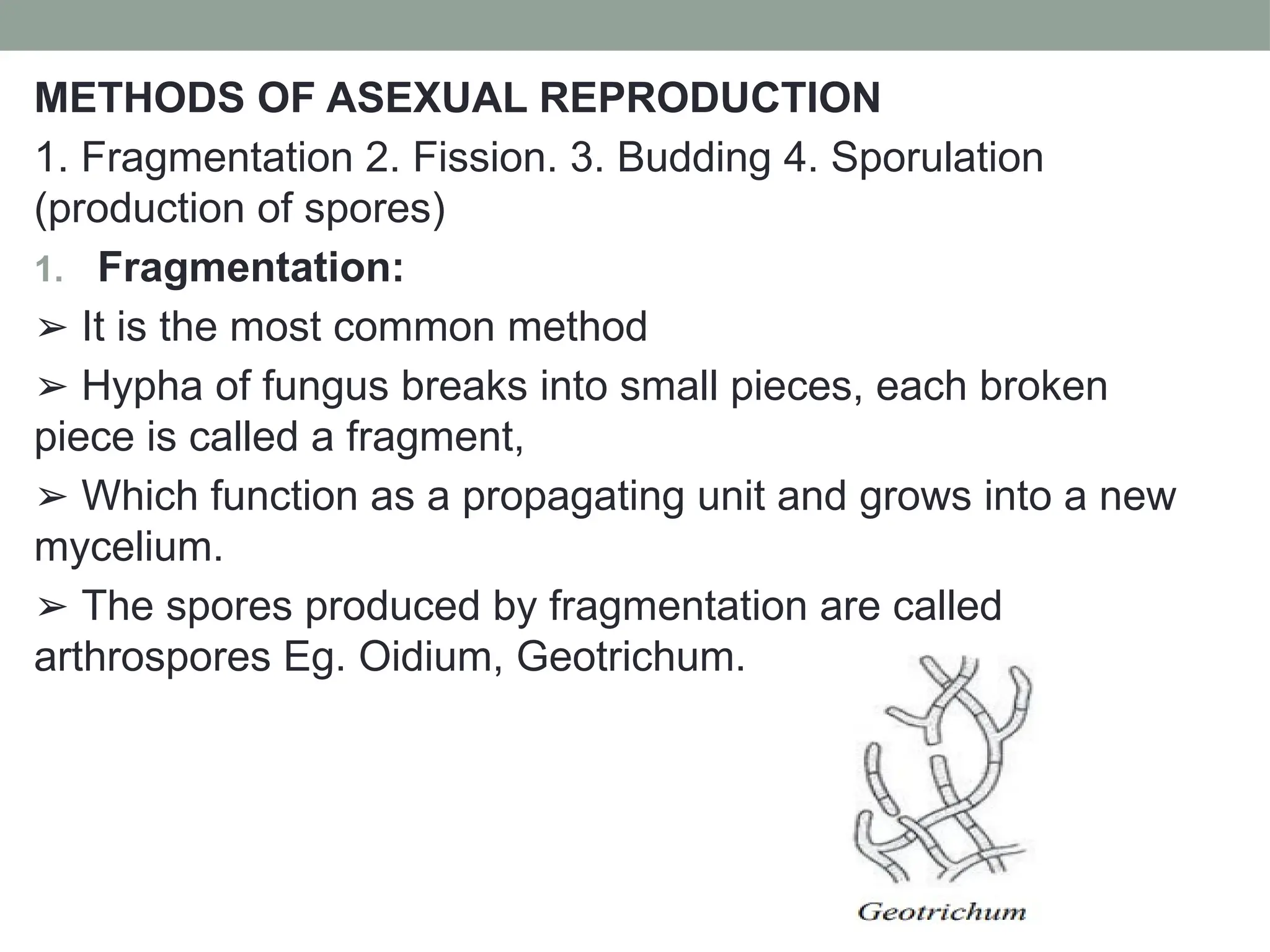 Lecture 2 PLANT PATHOLOGY wrt food science | PPTX
