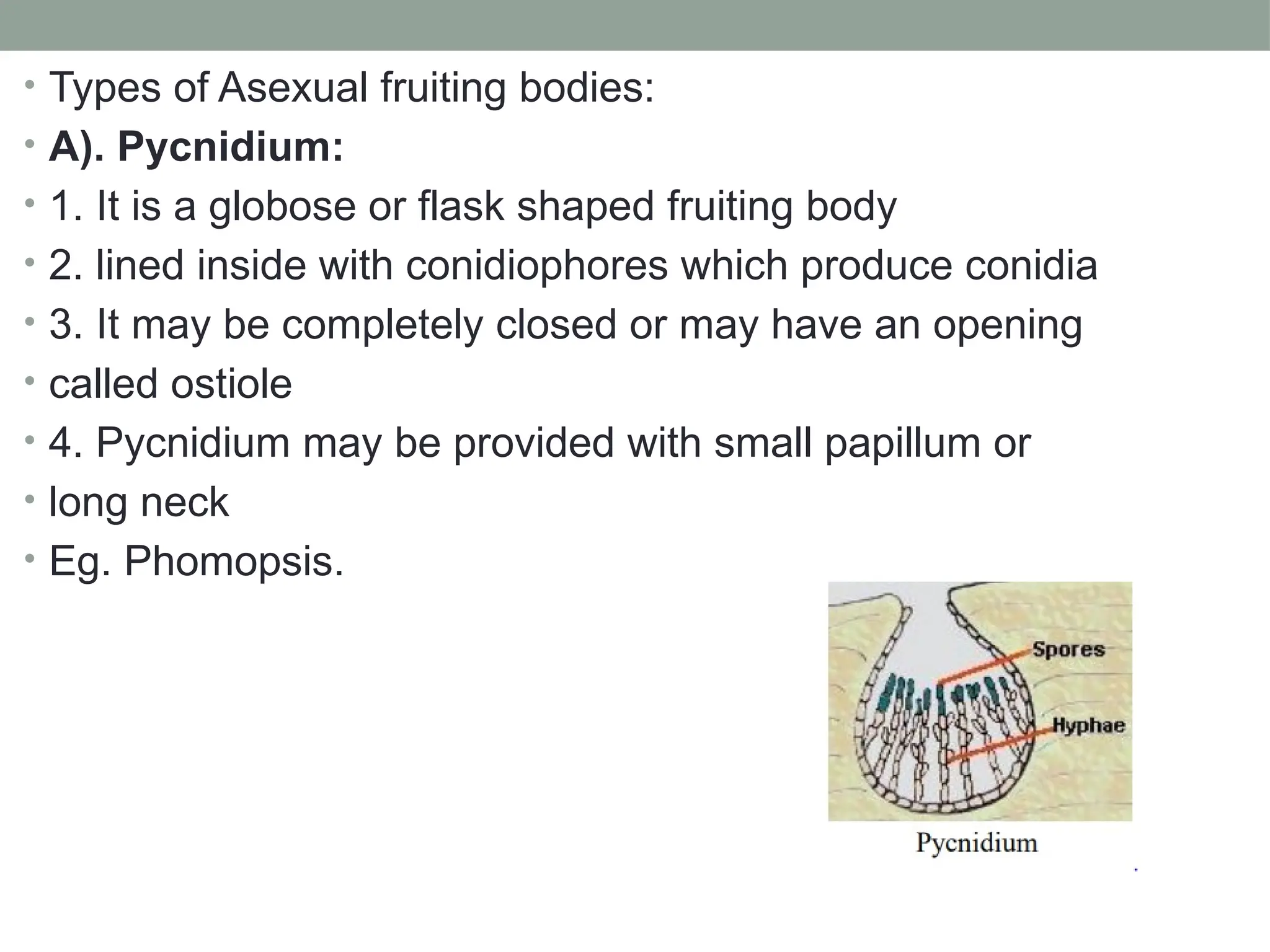 Lecture 2 PLANT PATHOLOGY wrt food science | PPTX