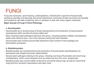 Lecture 2 PLANT PATHOLOGY wrt food science | PPTX