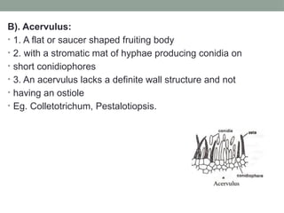 Lecture 2 PLANT PATHOLOGY wrt food science | PPTX