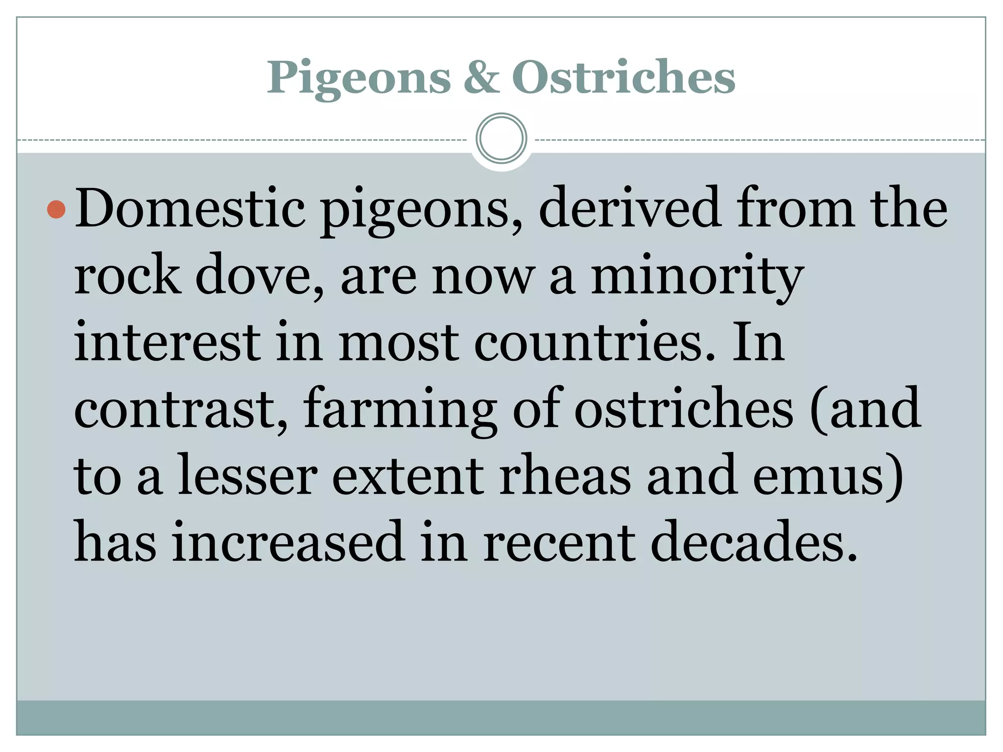 Poultry Lecture 2 (Poultry History) | PPTX