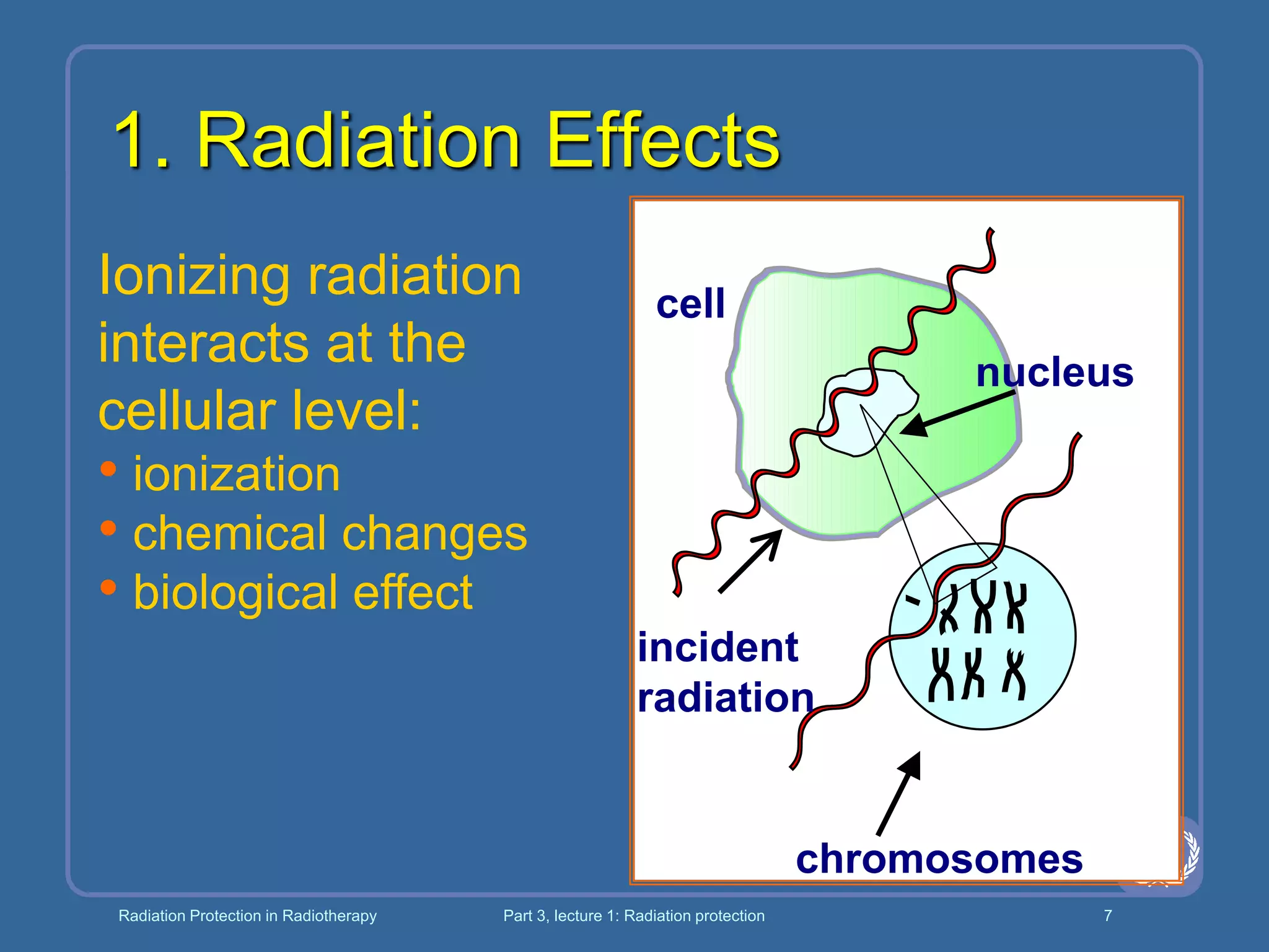 Lecture_2 Radiation effects.pptx