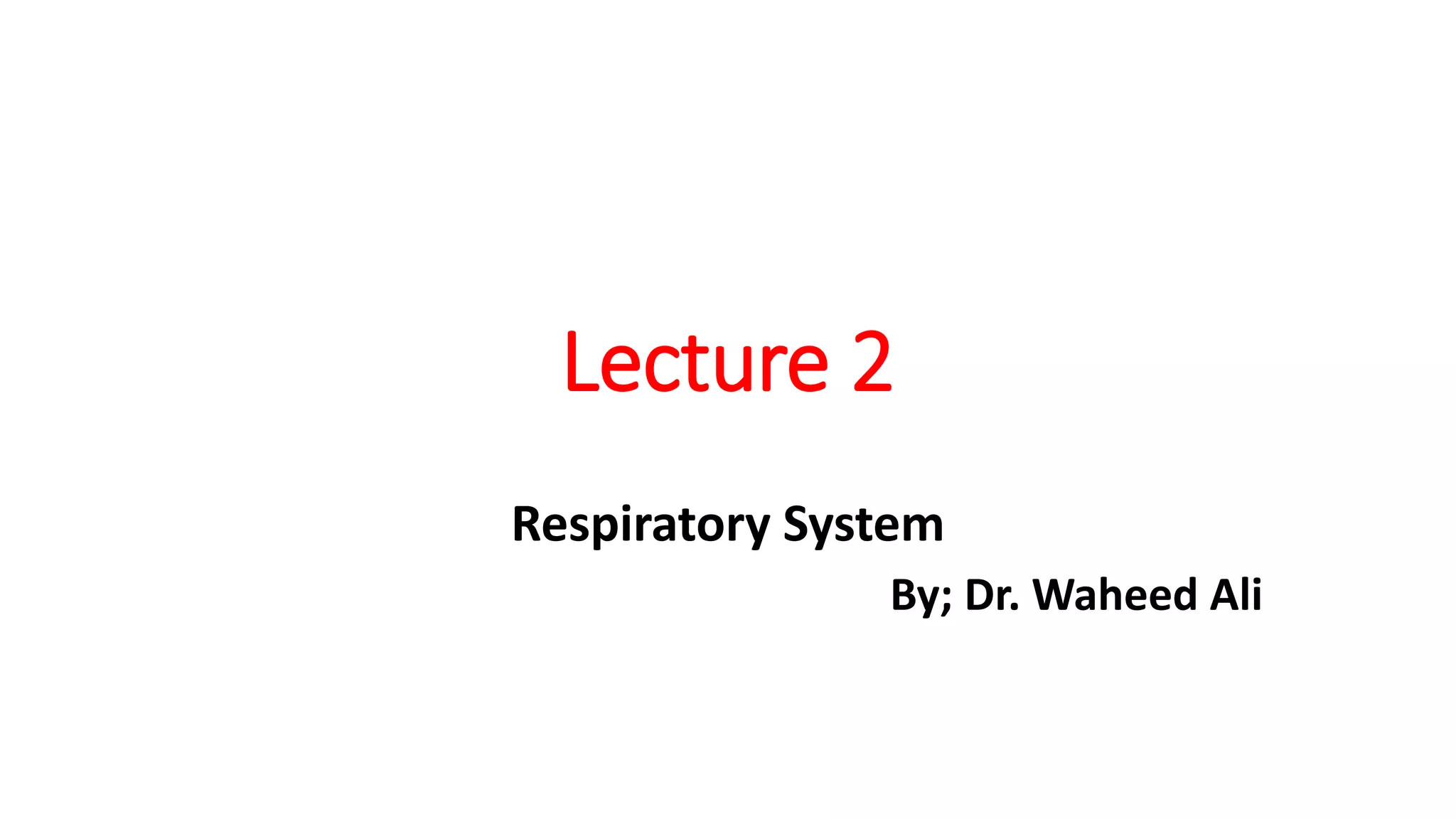 Lecture 2 Respiratory System.pptx