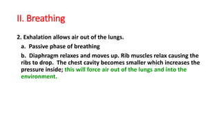 Lecture 2 Respiratory System.pptx