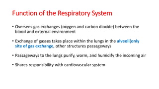 Lecture 2 Respiratory System.pptx