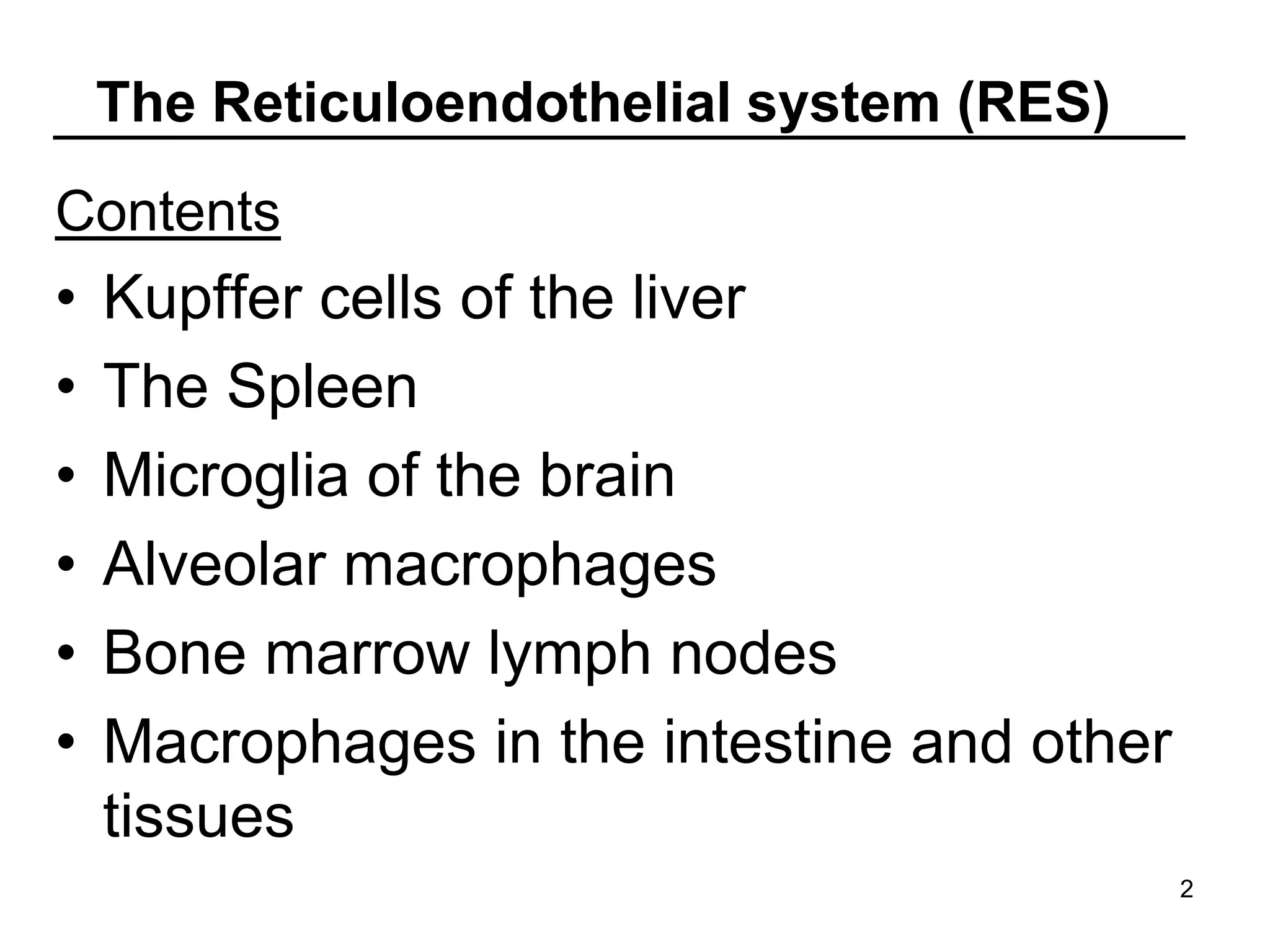 lecture 2 Retiuculo.ppt