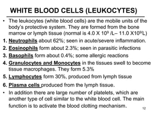 lecture 2 Retiuculo.ppt