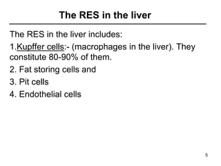 lecture 2 Retiuculo.ppt