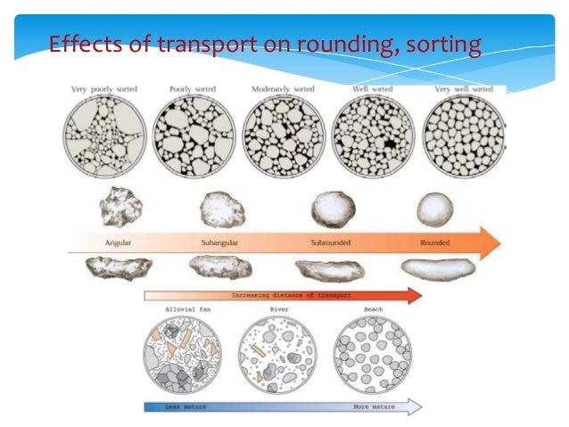 Process Of Sedimentation In Rock Formation
