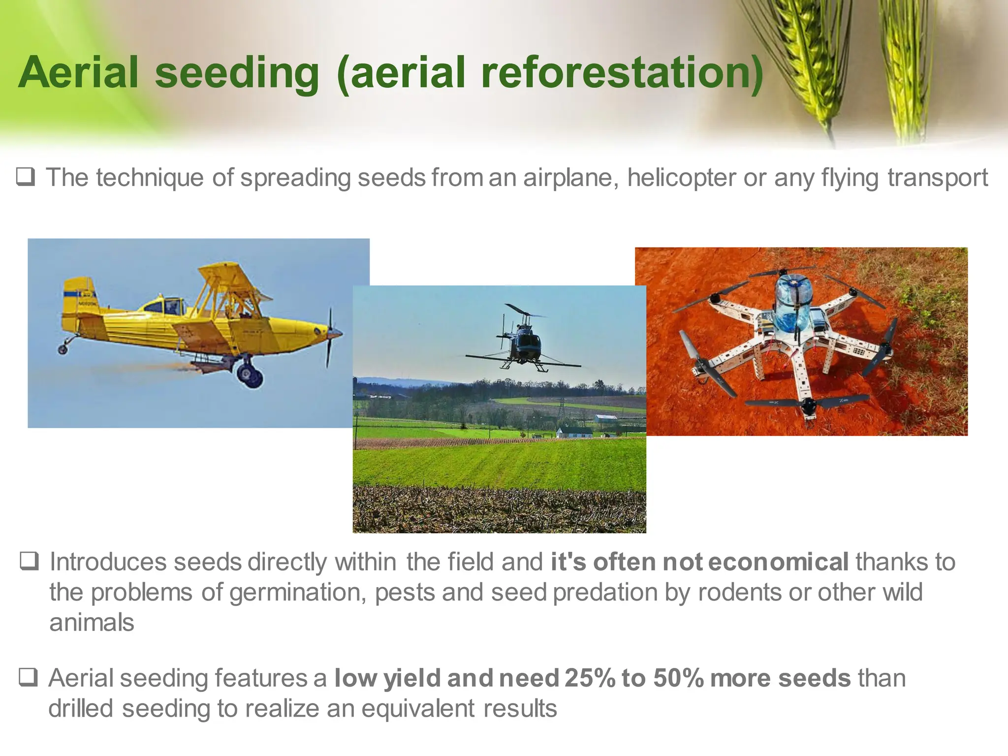 Seed coating technologies agriculture.pdf