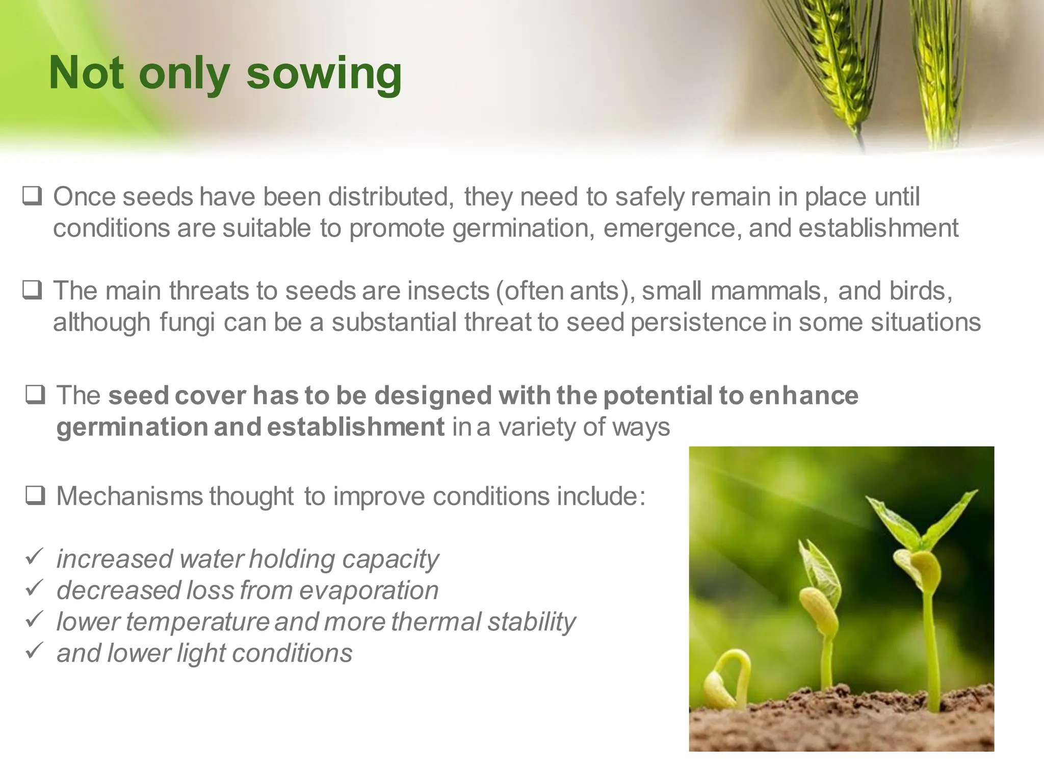Seed coating technologies agriculture.pdf