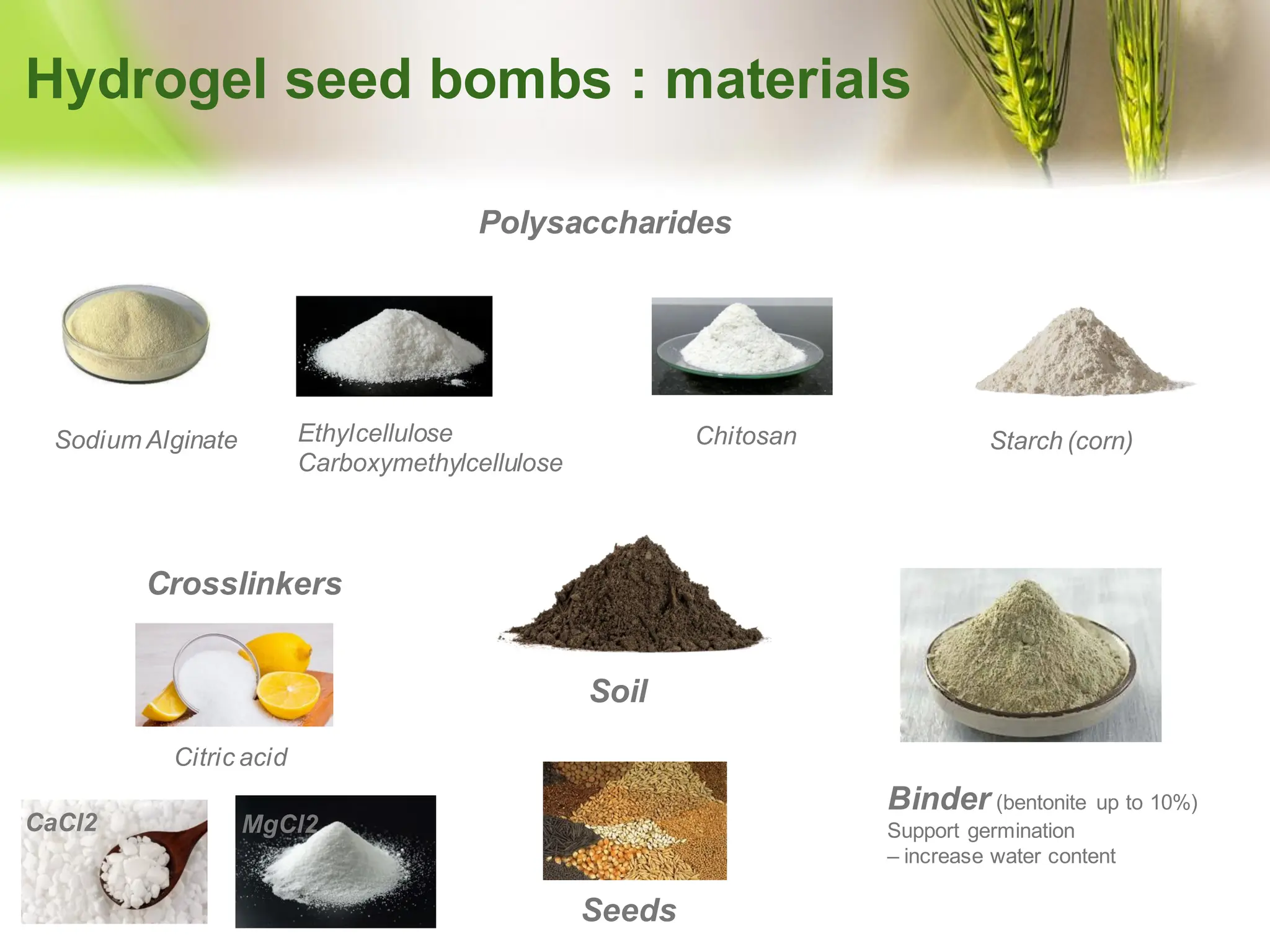 Seed coating technologies agriculture.pdf