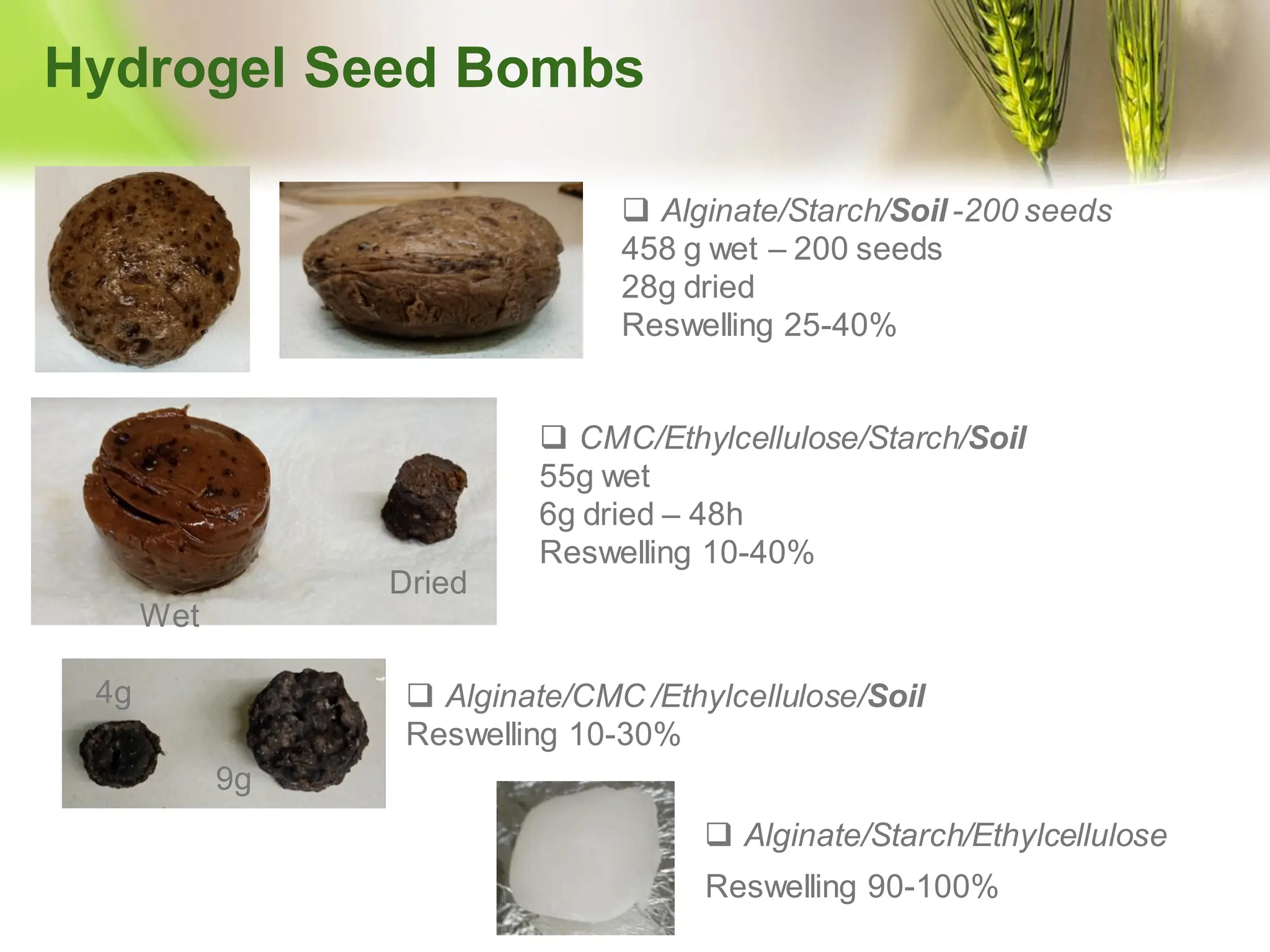 Seed coating technologies agriculture.pdf